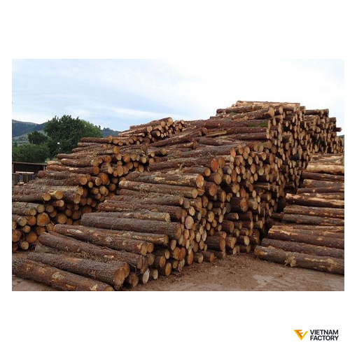 Timber Raw Materials's Products - VietnamFactory